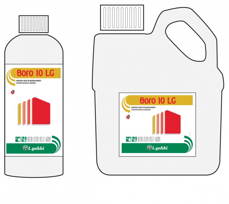 BORO 10 LG - L. Gobbi